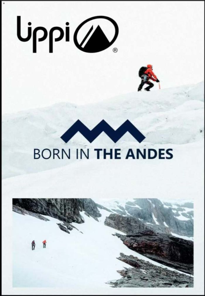 Lippi | Catálogos y Ofertas Junio 2024 | Tiendeo